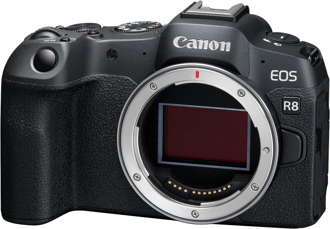 Canon EOS R8 Test - Hochwertig, schön und was noch?